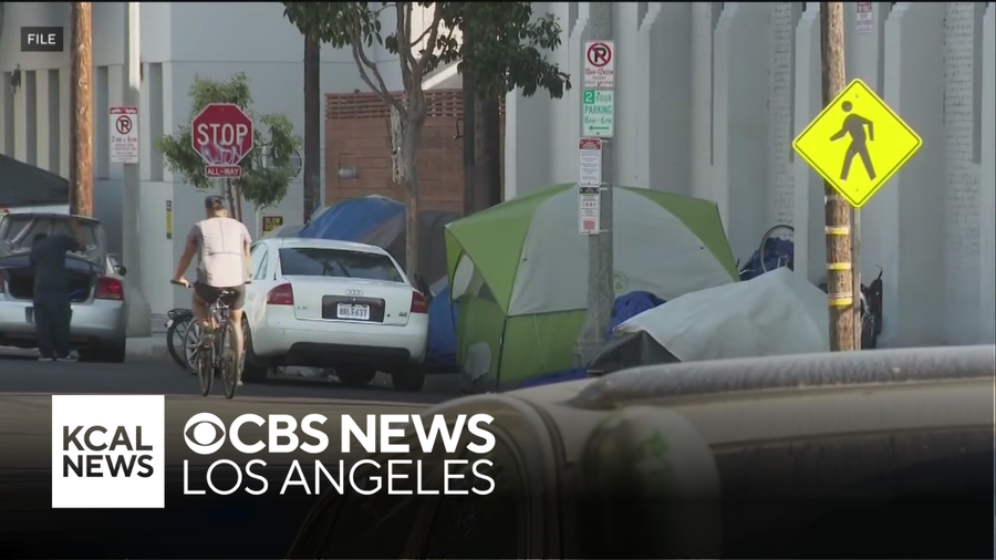Los Angeles' 2025 homelessness count shows decrease for second ...