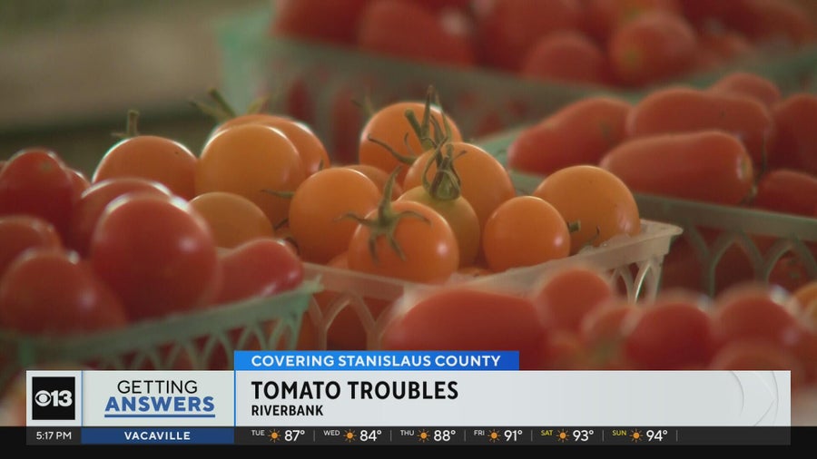 Stanislaus County farmer Mexico tomato tariff won't affect his prices ...