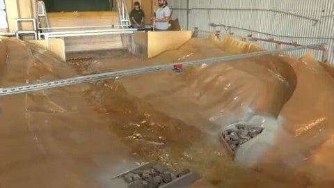 Colorado State University students create, study miniature model of ...