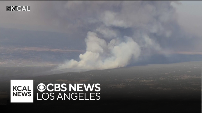 Dale Fire burns 1,072 acres, forces evacuations near Aguanga in Riverside County - CBS Los Angeles