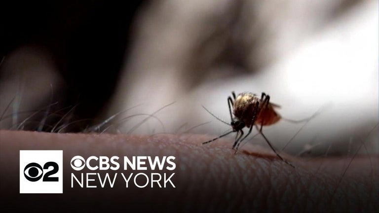 Naomi dei sex video stay away from this one and snip - edit