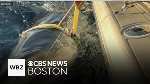 Sarah slavotinek if I had to guess, I d say early 30 s, if