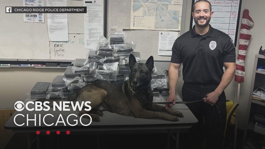 Chicago Ridge, Illinois drug bust nets $1 million in cocaine thanks to ...