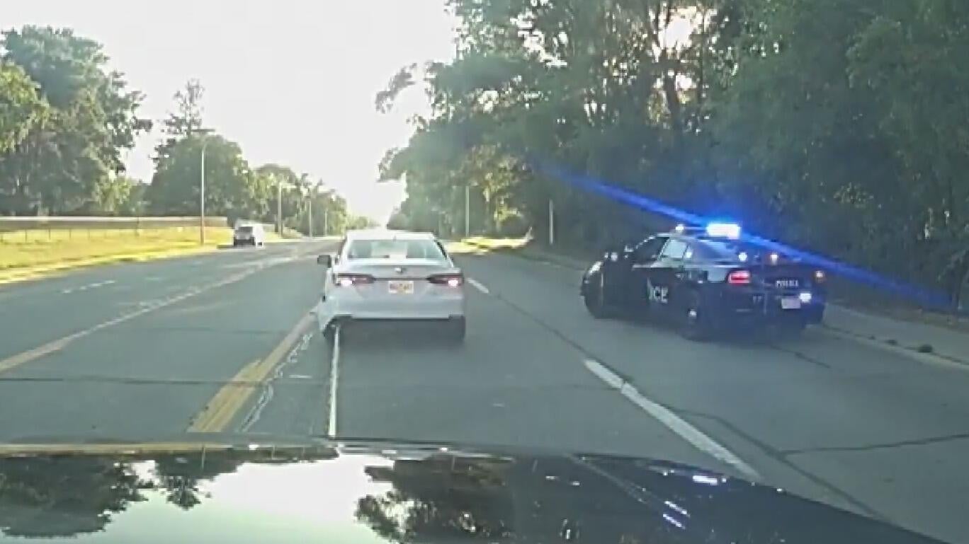 Livonia police use new grappler technology to stop drunk driver - CBS ...