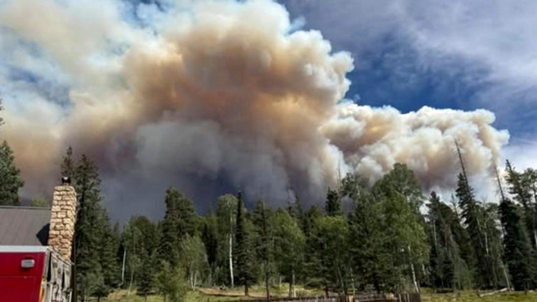 Video shows Grand Canyon wildfire smoke forming huge pyrocumulus cloud ...