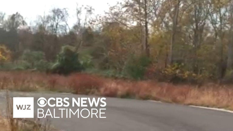 Howard County man granted greenlight to keep homemade go-kart race ...