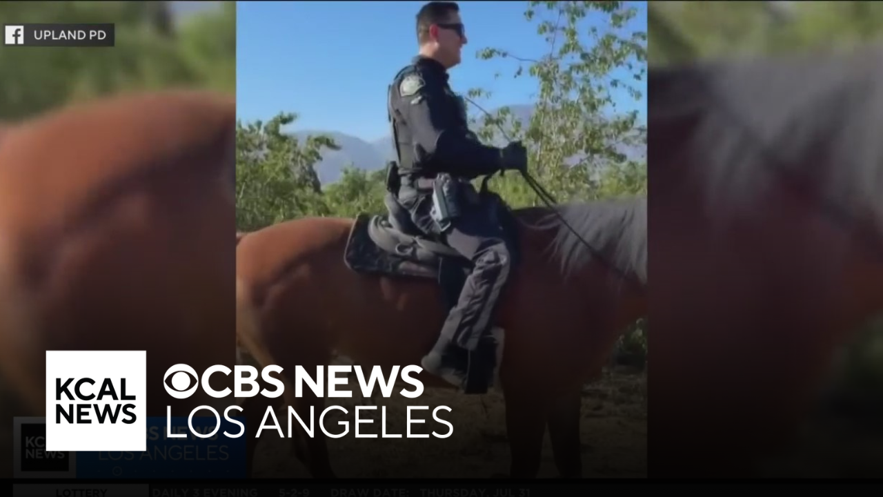 Upland police officer makes arrest after chasing hit-and-run suspect on ...