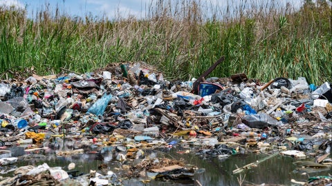 Plastic causing "disease and death from infancy to old age" that costs ...