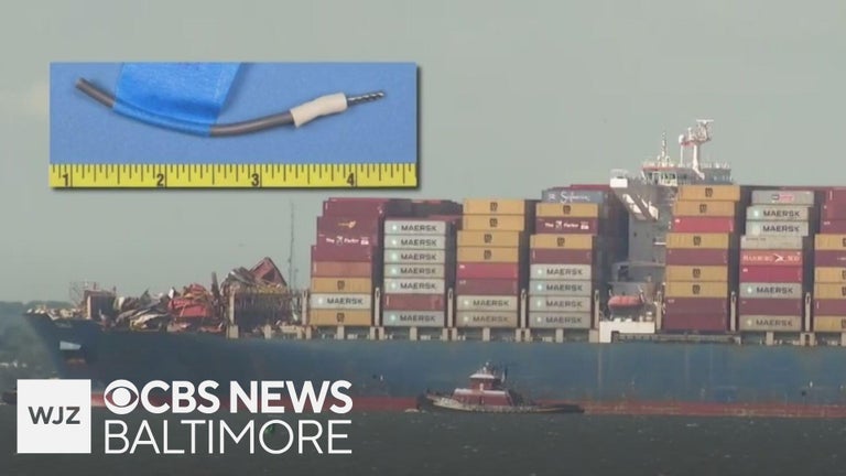 Lawsuit blames Dali shipbuilder for power failure that led to collision ...