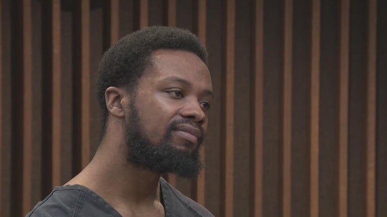 Suspect accused of killing Warren mom Ashley Elkins in court for ...