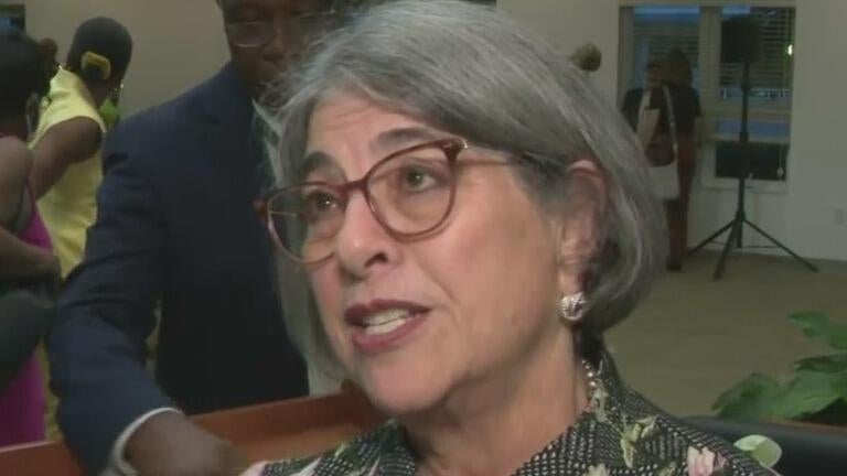 Miami-Dade County Mayor Daniella Levine Cava pushes back on Florida ...