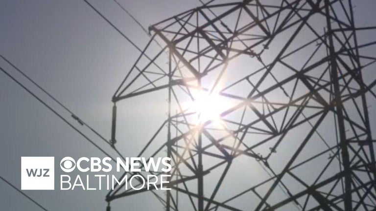 Neo-Nazi gets maximum sentence in terror plot to destroy Maryland's ...