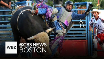 A rodeo in Massachusetts? Here's where you can find it. - CBS Boston