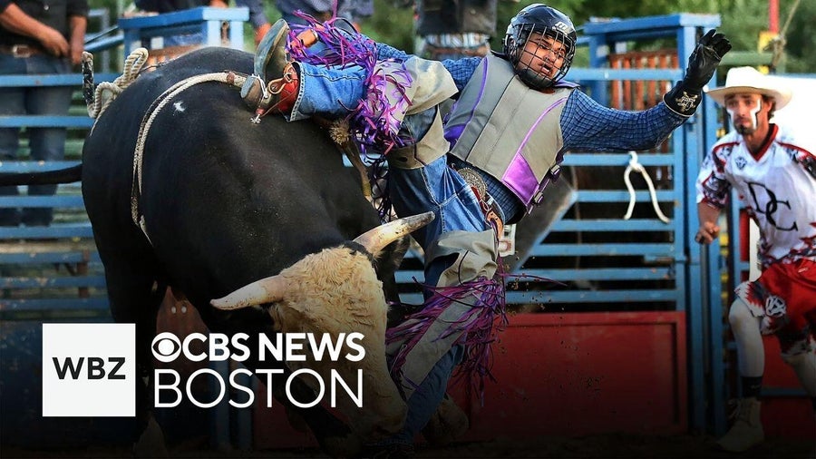A rodeo in Massachusetts? Here's where you can find it. - CBS Boston