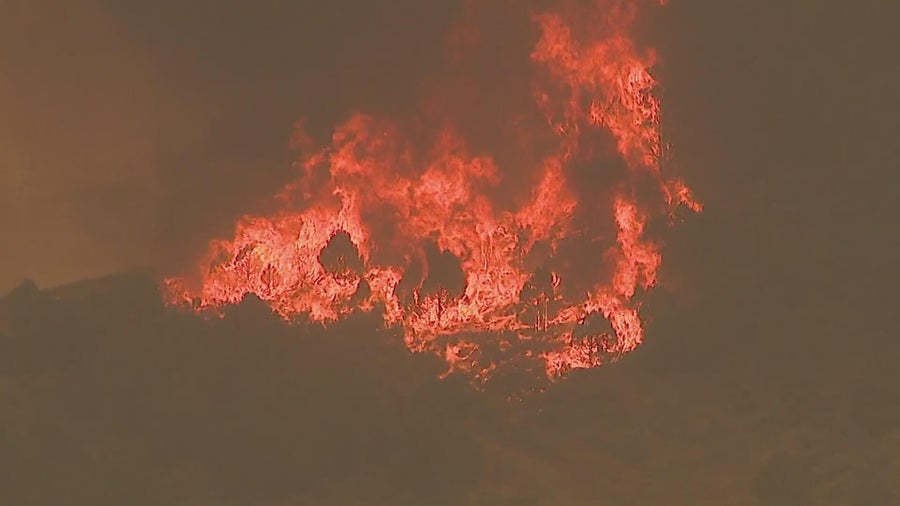 Elk Fire in western Colorado grows to 4,000 acres, nearby Lee and ...