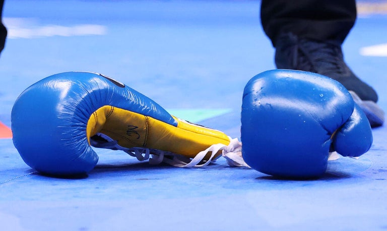 2 Japanese boxers died from brain injuries after separate bouts at the ...