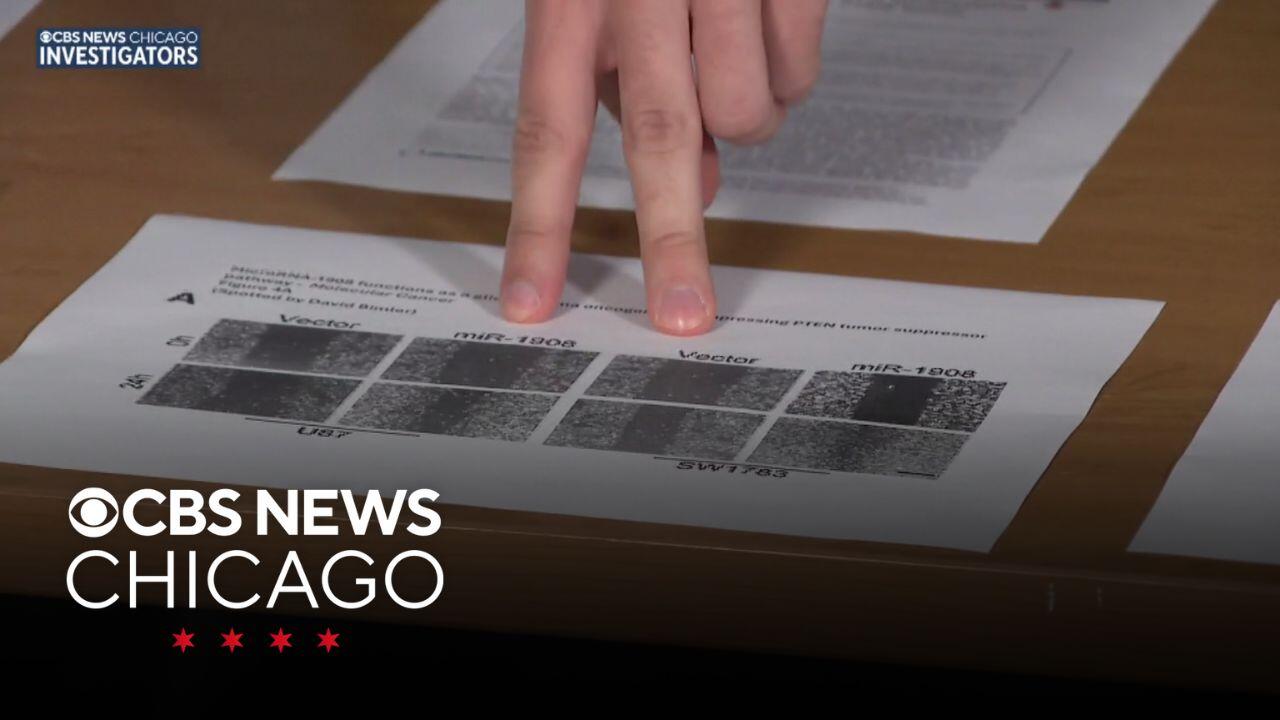 Fake scientific publications are a serious and growing problem ...