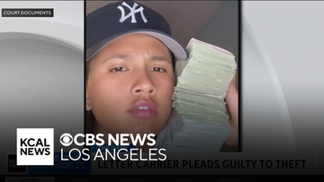 Former Los Angeles USPS letter carrier pleads guilty to stealing checks, cash from mail at ...