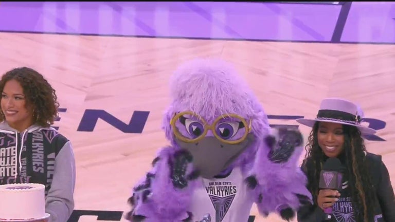 Valkyries debut raven mascot, Violet, during game against Connecticut ...