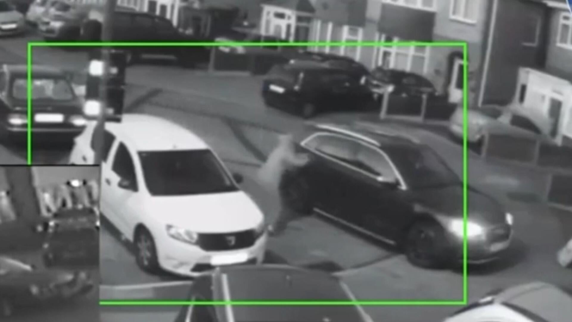 Wisconsin woman found guilty in U.K. murder plot 6 years after trying ...