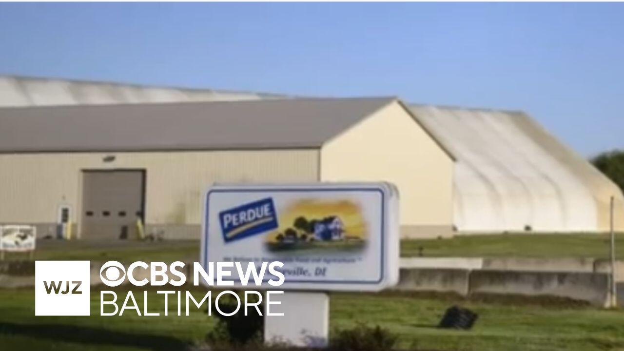 Federal judge denies Perdue Farm's request to drop lawsuit alleging ...