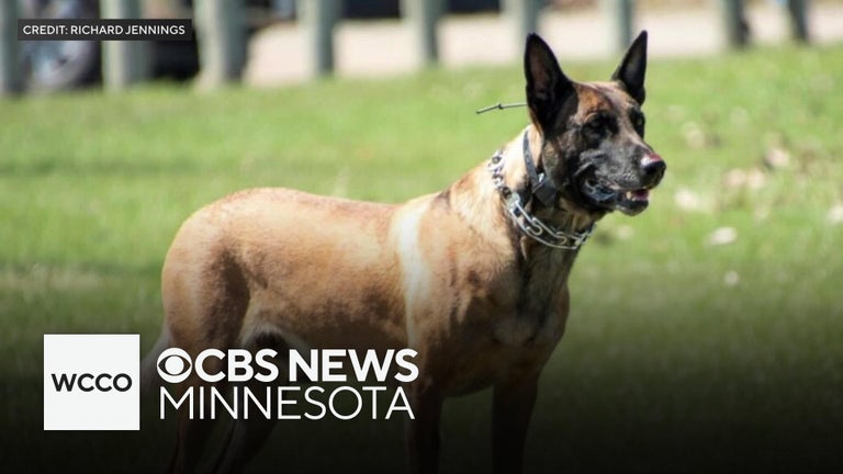Big cuts coming to Minnesota DOC's K-9 program as Stillwater prison ...