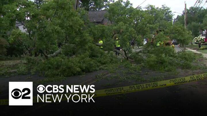 Tree limb falls and injures 3 people in Teaneck, New Jersey - CBS New York