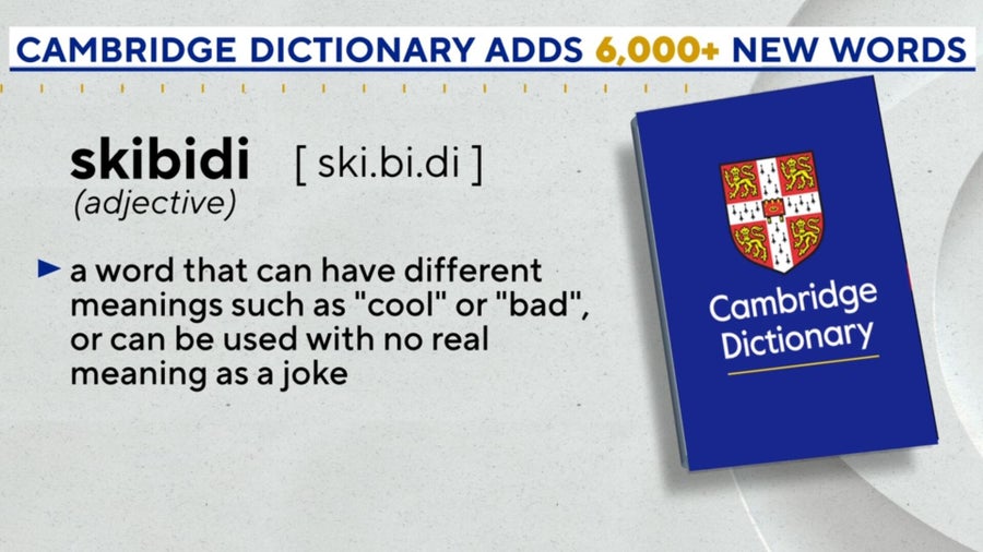 Cambridge Dictionary adds "skibidi," "delulu" and more words. Here's ...