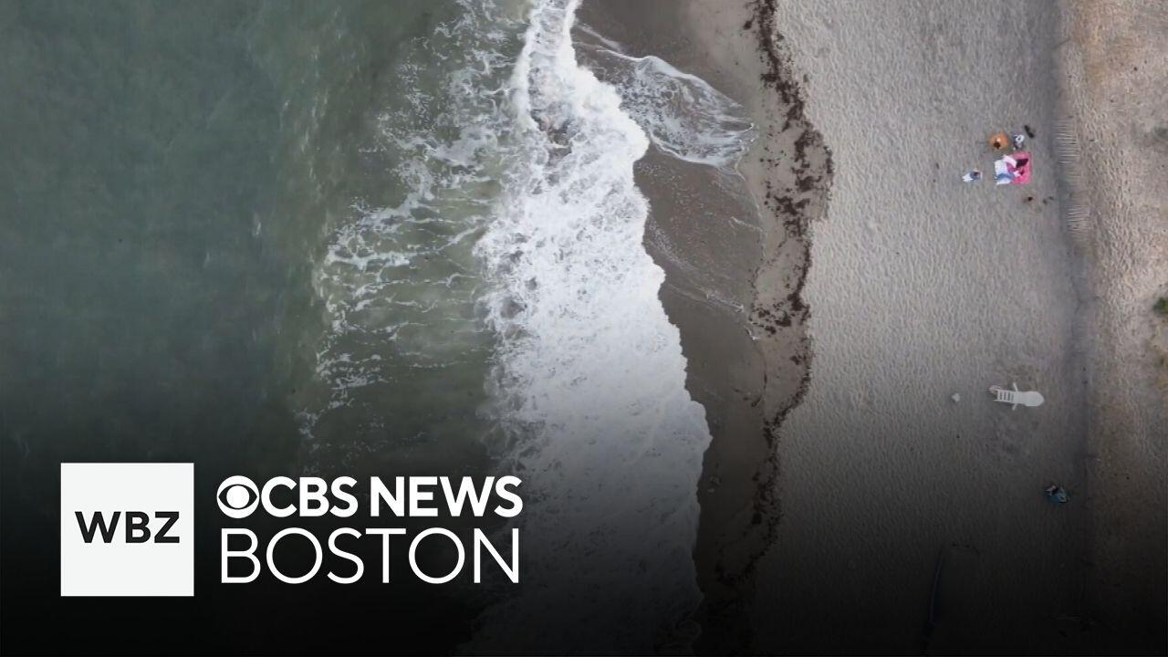 Hurricane Erin shuts down 2 Scituate, Massachusetts beaches due to ...