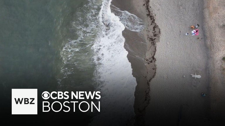Hurricane Erin shuts down 2 Scituate, Massachusetts beaches due to ...