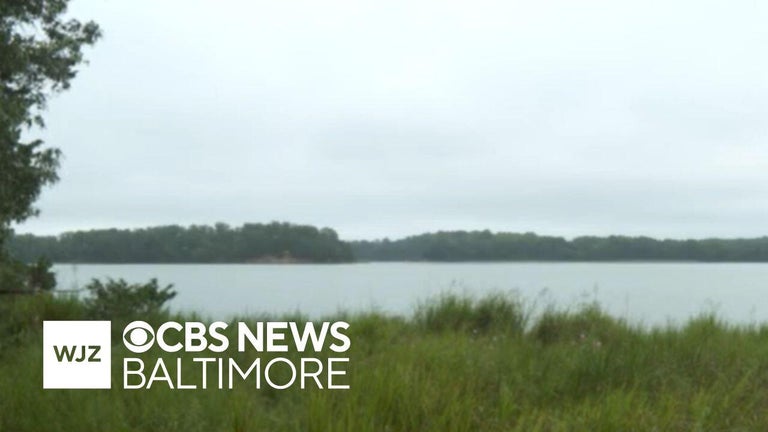 Maryland researchers find that otter poop can tell important ...