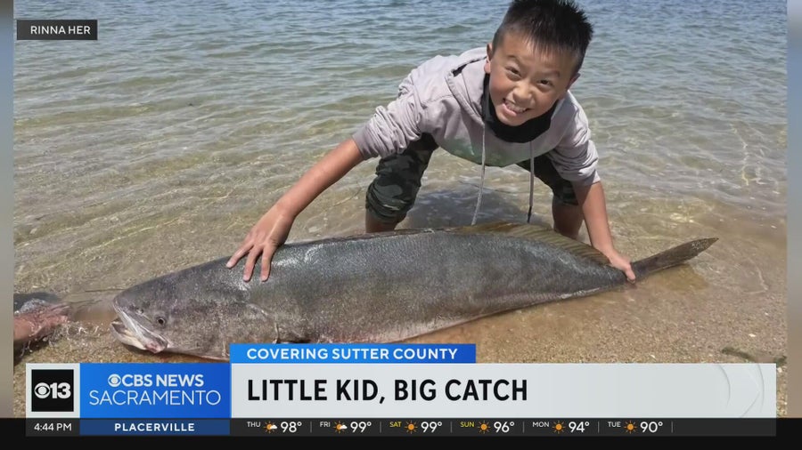 California kid reels in 63-pound white sea bass, possibly breaking ...