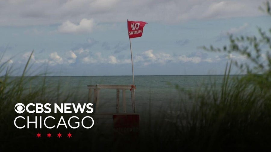 Niles North High School student dies after being pulled from Lake ...