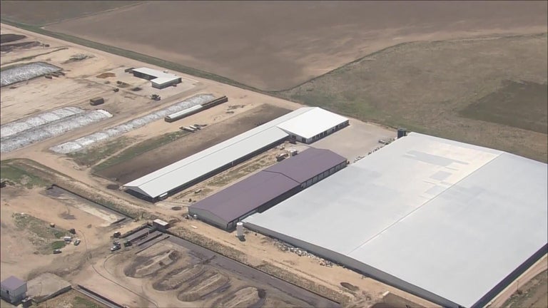 What is H2S? Dairy expert explains toxic gas that likely killed six ...