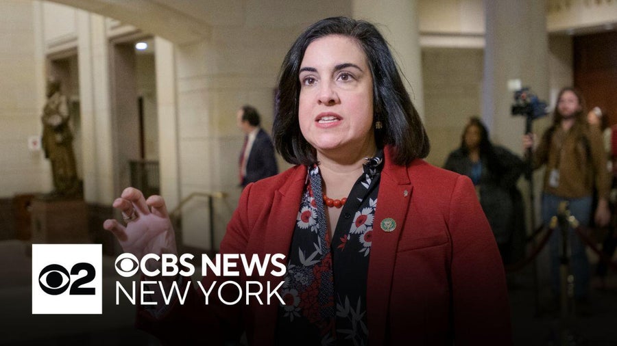 Nicole Malliotakis, NYC's lone House Republican, on gerrymandering, the ...