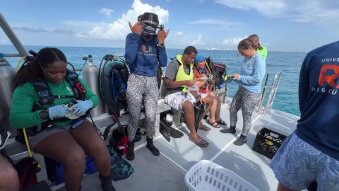 University of Miami brings citizen scientists to coral reef for hands ...