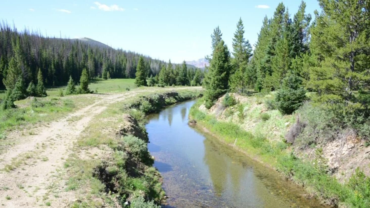 Colorado River Trail to close as wildlife officials remove invasive ...