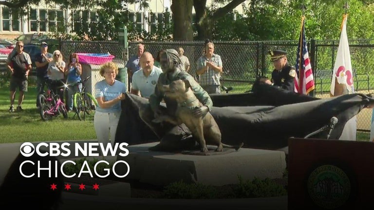 Statue of fallen Chicago police Officer Ella French unveiled - CBS Chicago