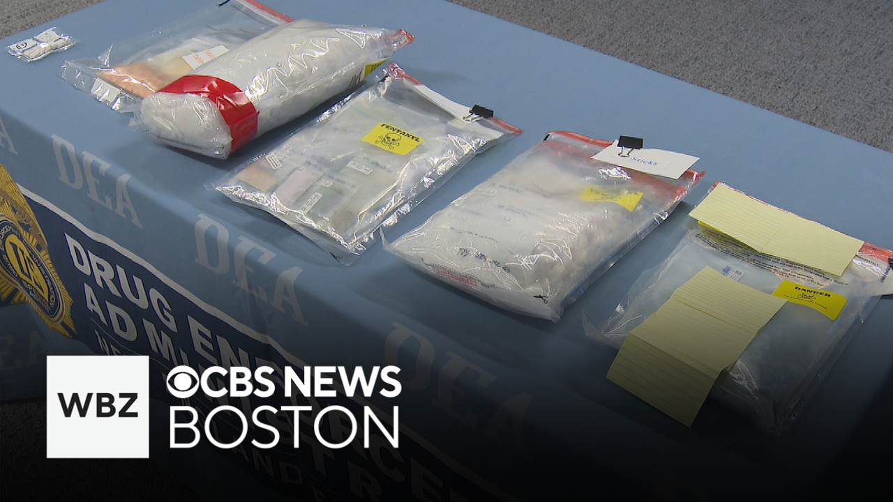 Over 600 people arrested in operations targeting Sinaloa drug cartel ...