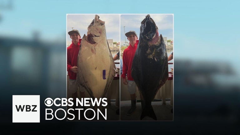 177-pound halibut caught by New Hampshire teen could set a record: "I ...