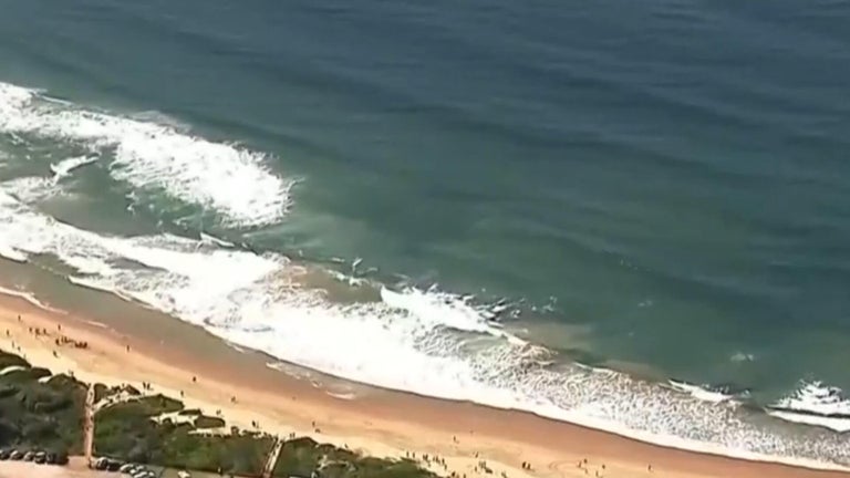 Harrowing details emerge after surfer killed by shark off popular beach ...