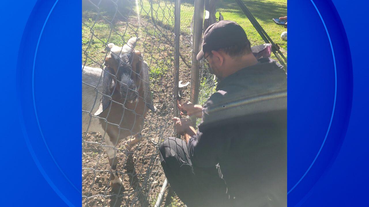 Humane Society of Huron Valley leads rescue efforts involving 126 ...