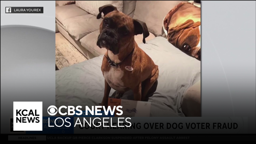 Orange County woman who registered dog to vote said she did so to ...