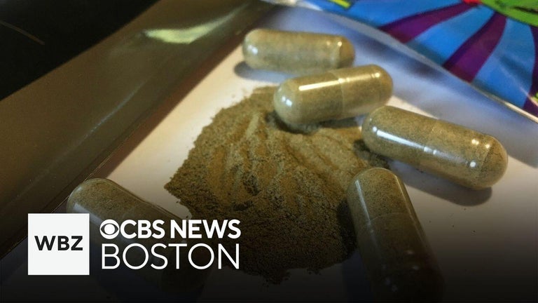 Kratom ban up for debate in Marlboro, Massachusetts as city councilor ...