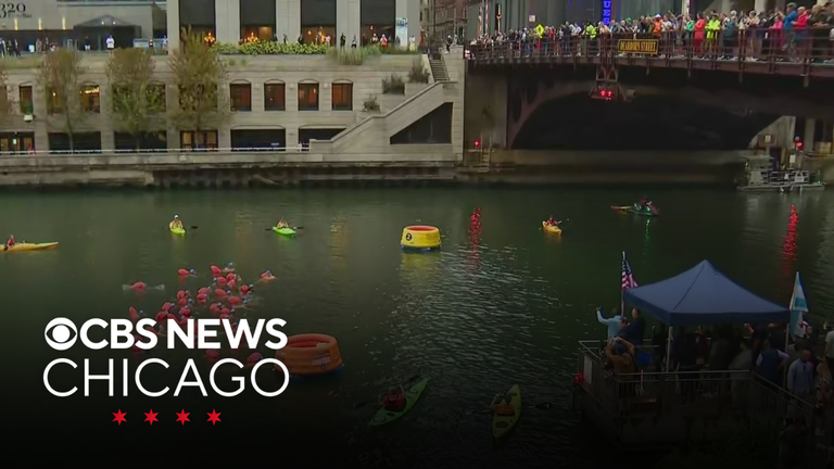 Chicago River hosts open swim for first time in nearly a century - CBS ...