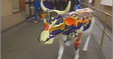 Moo York, Moo York - CBS News