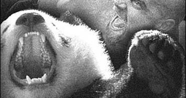 Wildlife Fund Wins WWF Challenge - CBS News