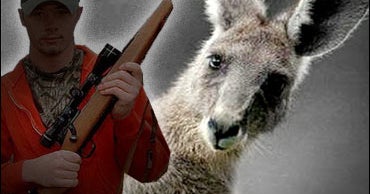 Aussies Hopping Mad Over Kangaroo Cull - CBS News