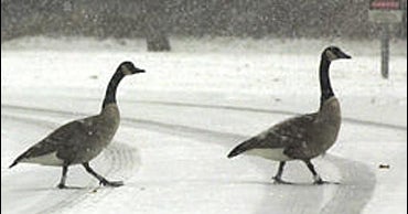 Storm Caps East's Drought Recovery - CBS News