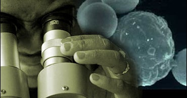 U.S. Risks High-Tech Wreck - CBS News